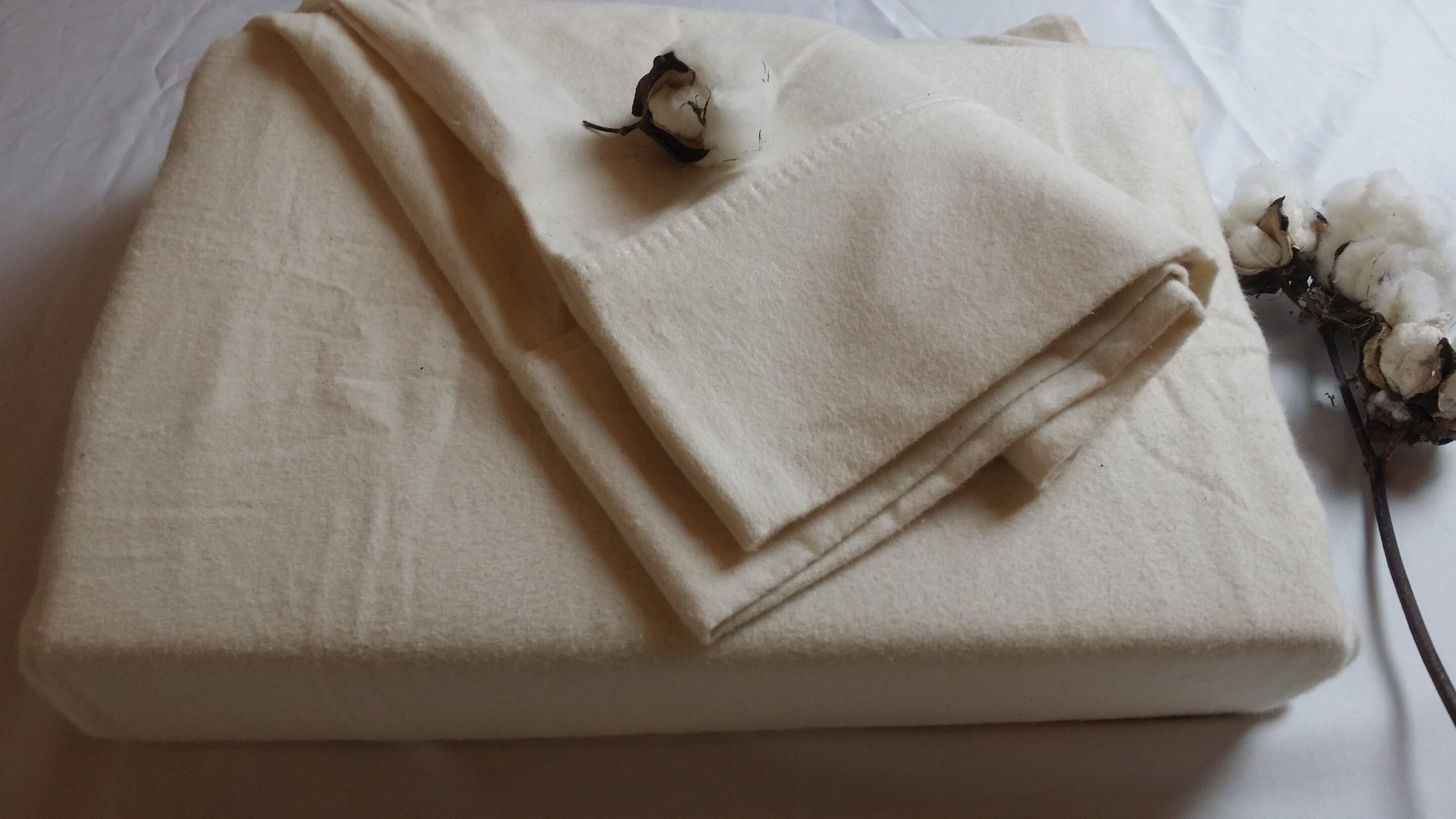 Sleep . Organic - CozyPure Organic Mattresses & Organic Bedding