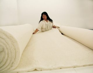 Dust mite resistant chemical-free 100% wool inside certified organic ...