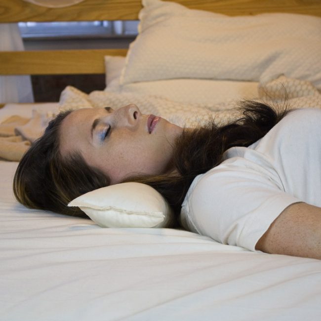 Organic Neck Roll Pillow - Small - CozyPure Organic Mattresses ...