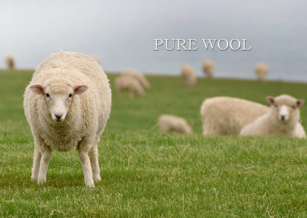 Finest Natural Materials - CozyPure Organic Mattresses & Organic Bedding