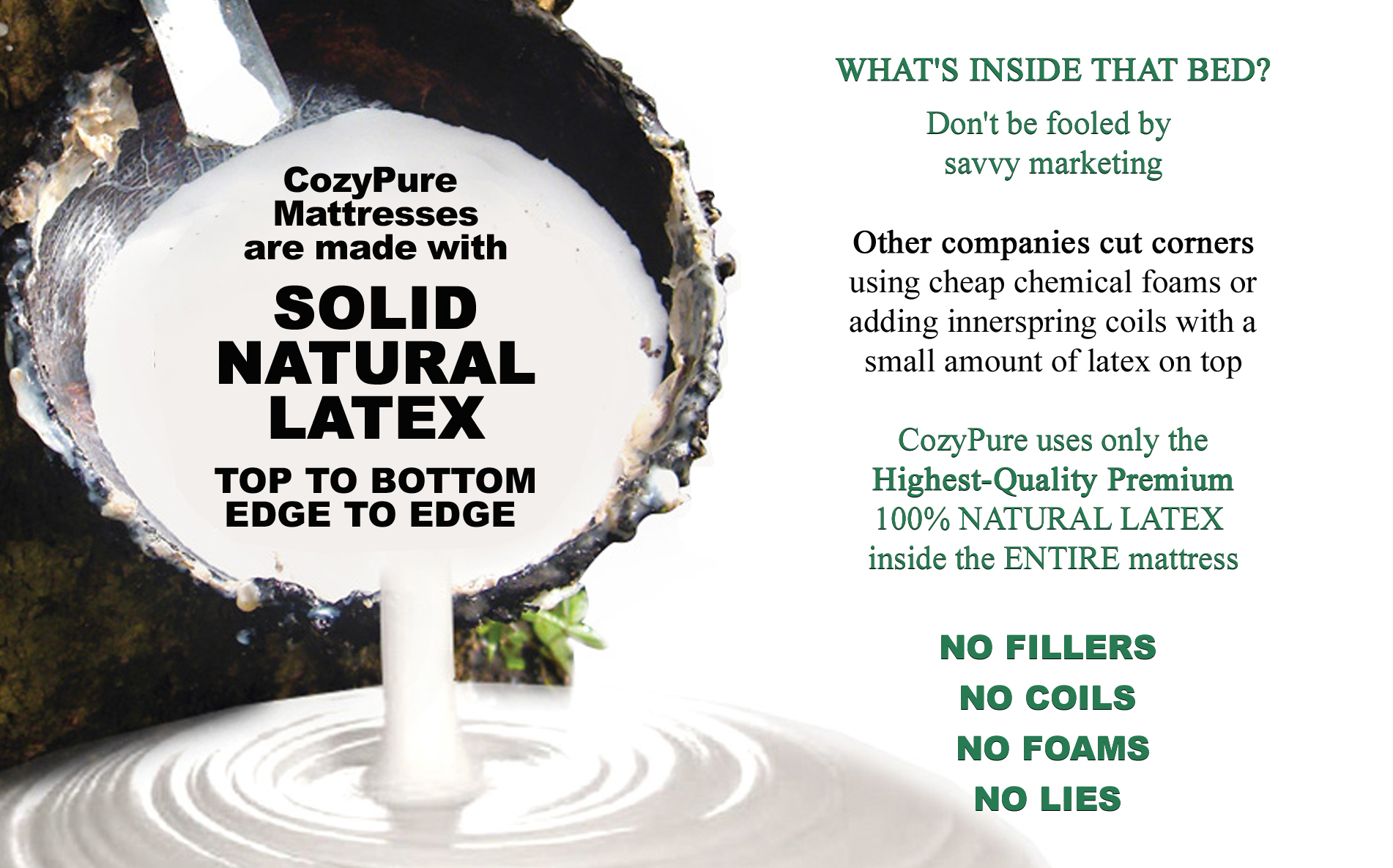 The Journey of Organic Dunlop Latex: Sustainable Support for Sleep ...