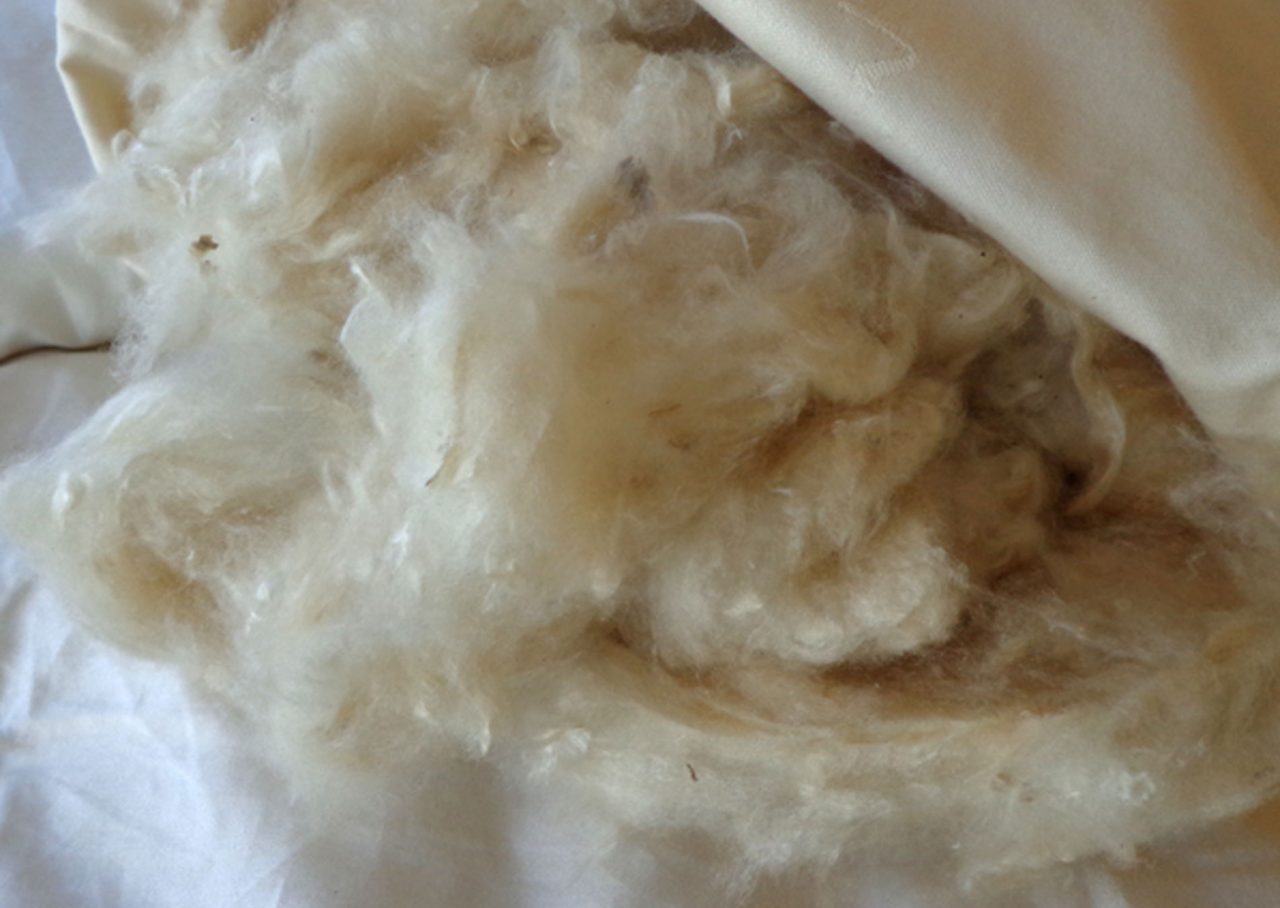 Finest Natural Materials - CozyPure Organic Mattresses & Organic Bedding