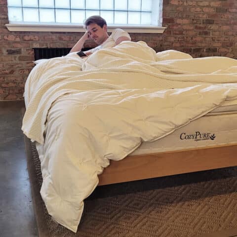 Dust mite resistant chemical-free 100% wool inside certified organic ...